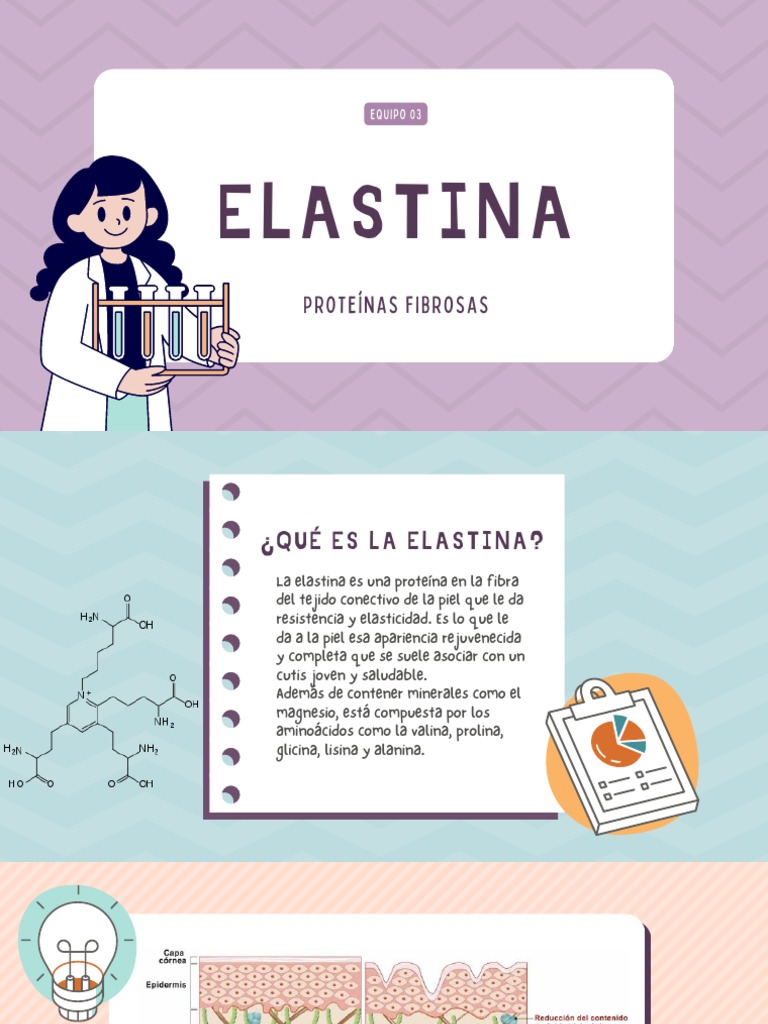 Elastina | PDF | Aminoácidos | Biomoléculas