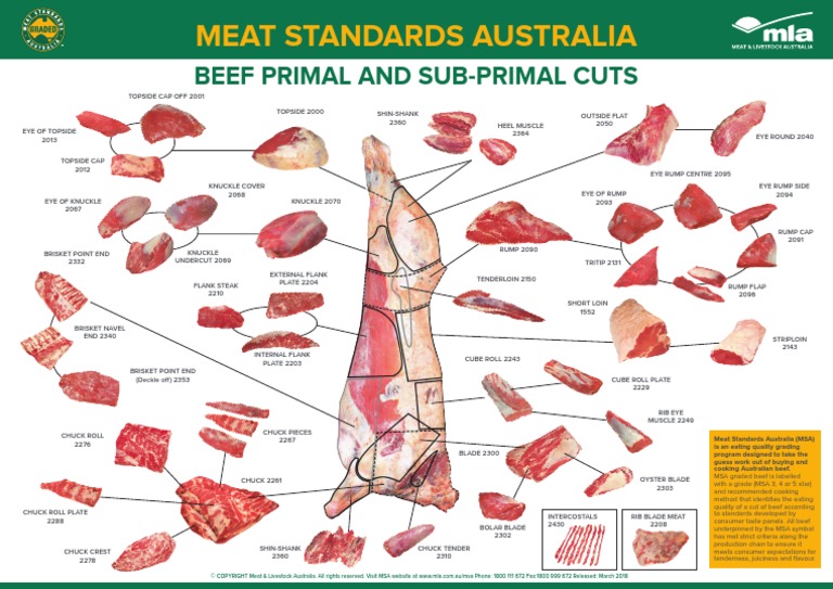 Beef Cuts Poster A3 1 PDF | PDF | Beef | Chuck Steak