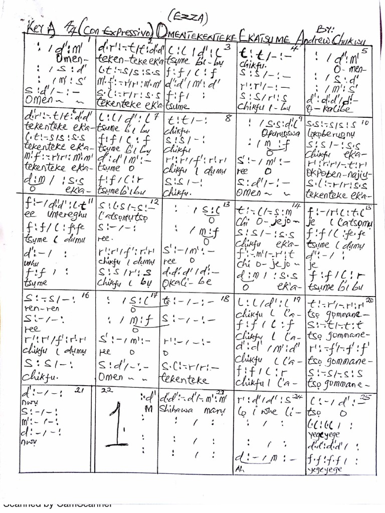 Digitized Document Scans | PDF