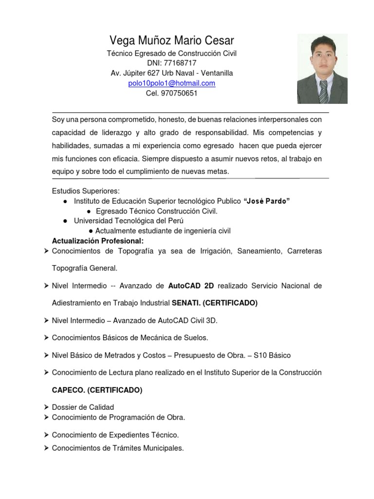 CV MARIO CÉSAR VEGA MUÑOZ PDF | PDF | Tecnología e ingeniería