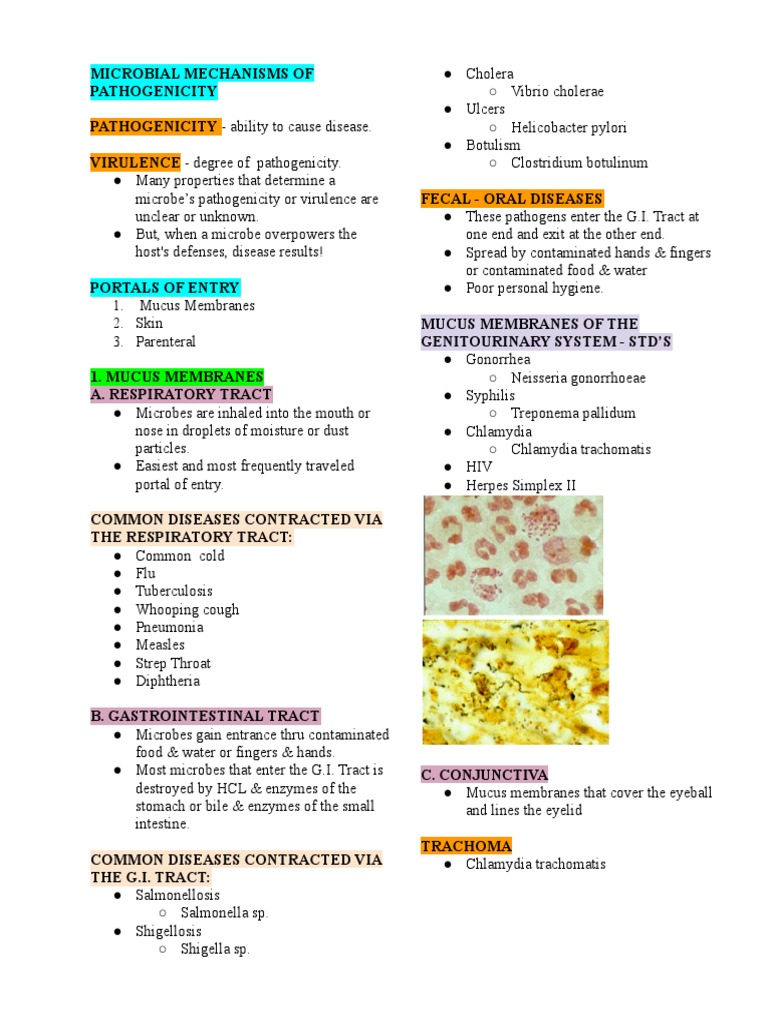 Micro Microbial Mechanisms of Pathogenicity NOTES | PDF ...