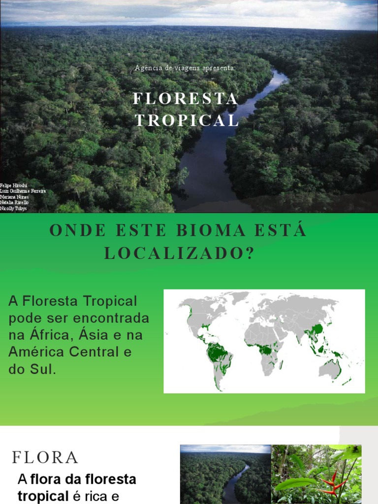 Floresta Tropical | PDF