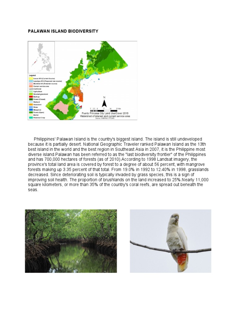 Tatoy - Ge15 - Red Vented Cockatoo | PDF | Systems Ecology | Ecology
