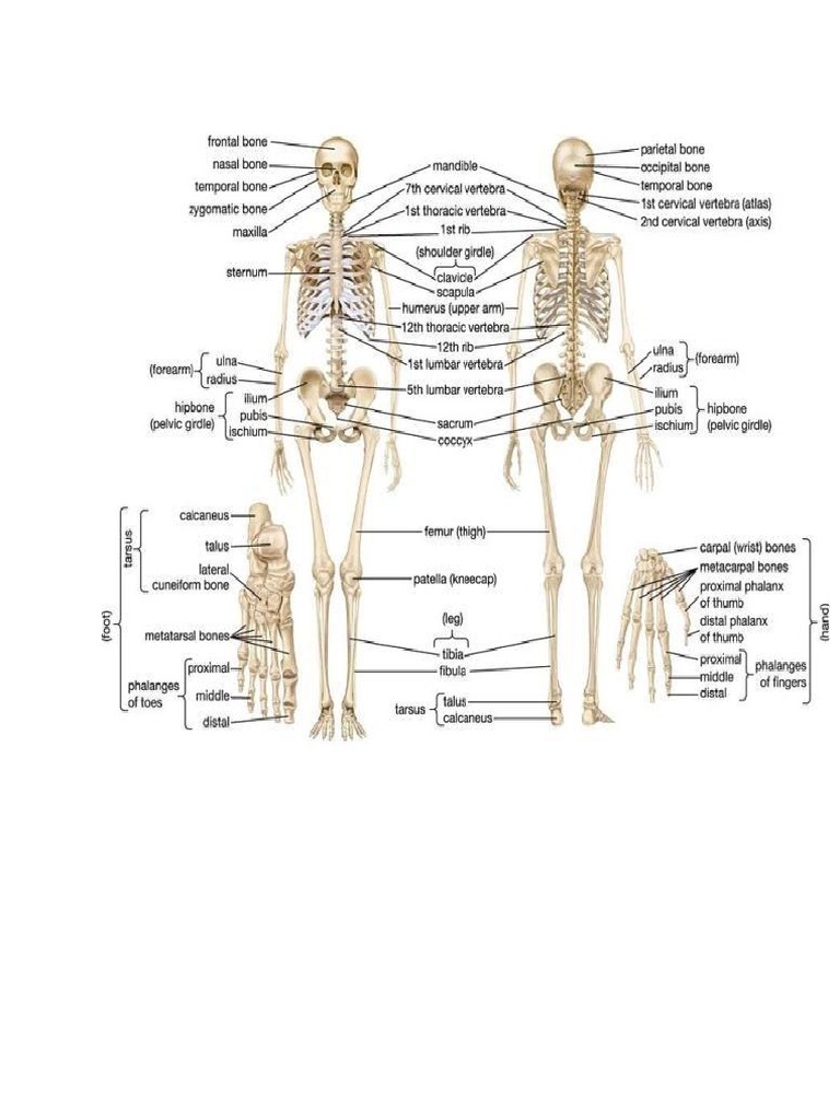 Arinya Project - 1 | PDF