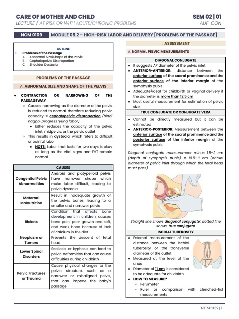 High-Risk Labor & Delivery Guide | PDF | Childbirth | Pelvis