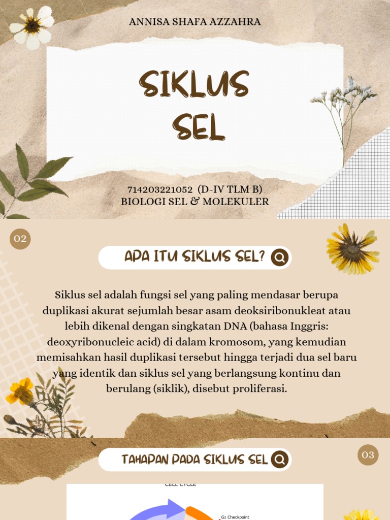 Siklus Sel: Tahapan dan Regulasi | PDF | Sains & Matematika