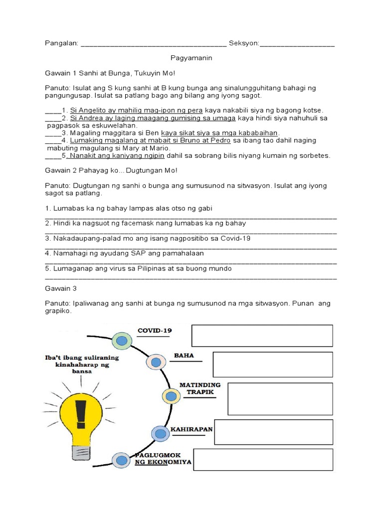PRINT-Sanhi at Bunga | PDF