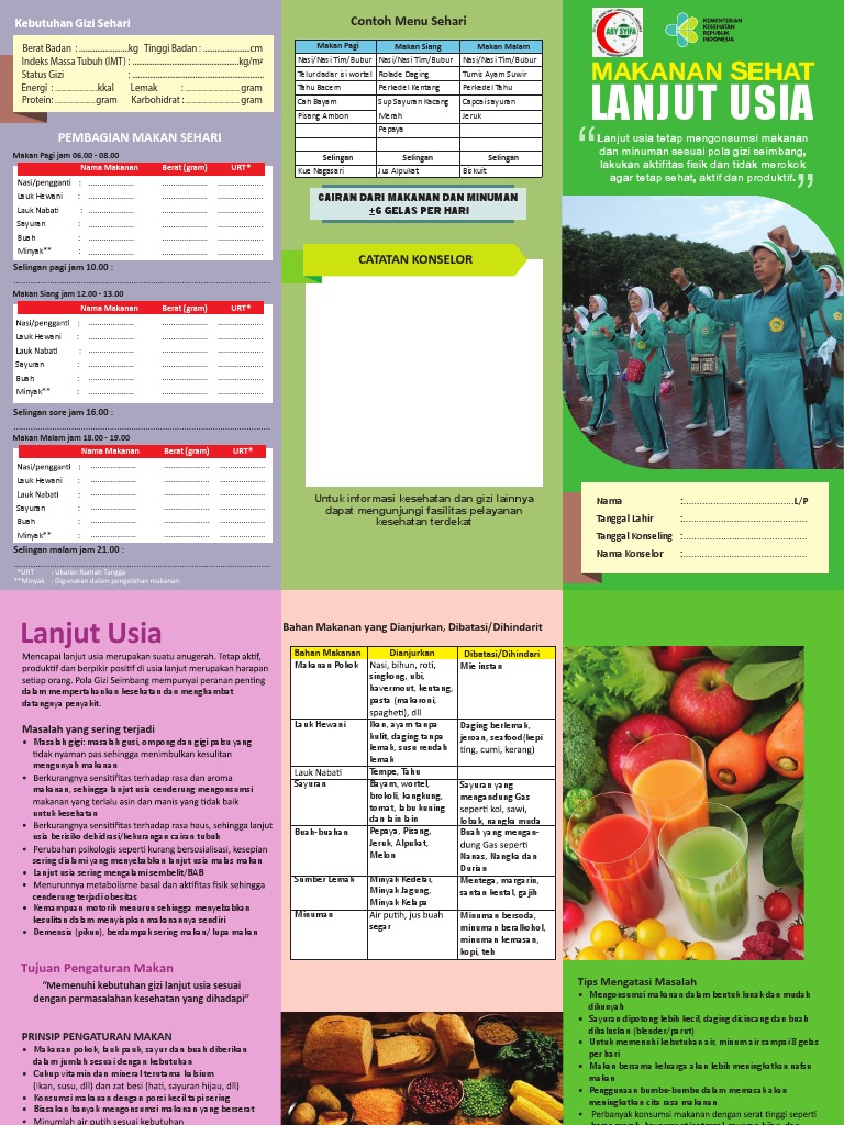 Makanan Sehat Lansia | PDF