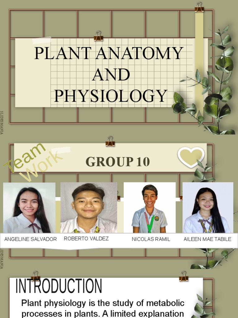 Plant Anatomy and Physiology | PDF | Leaf | Photosynthesis