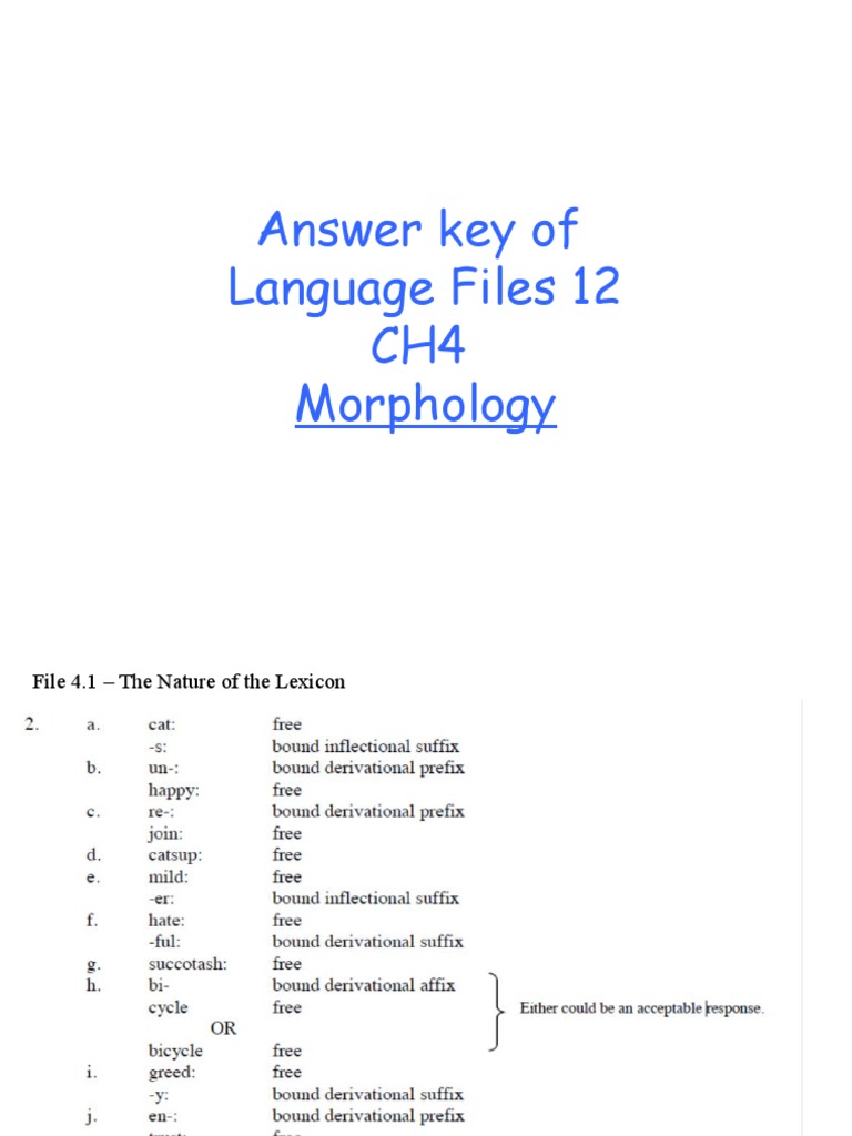 (File12) CH4 Morphology Answer Key | PDF