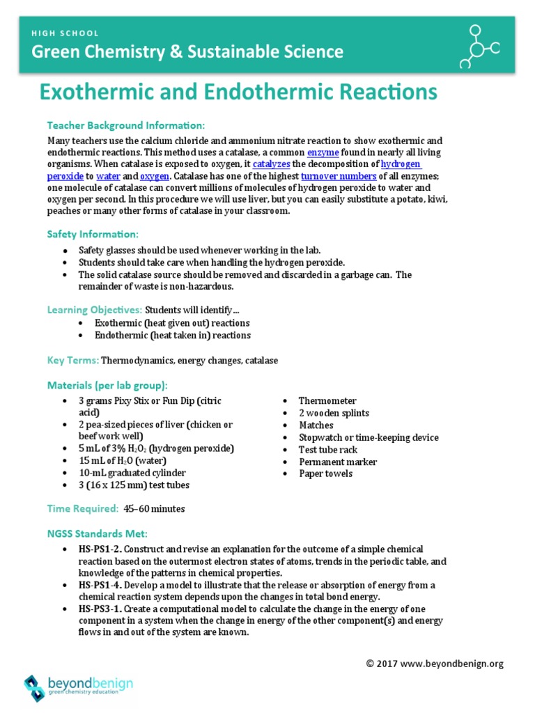Exothermic Endothermic Lab | PDF | Catalase | Hydrogen Peroxide