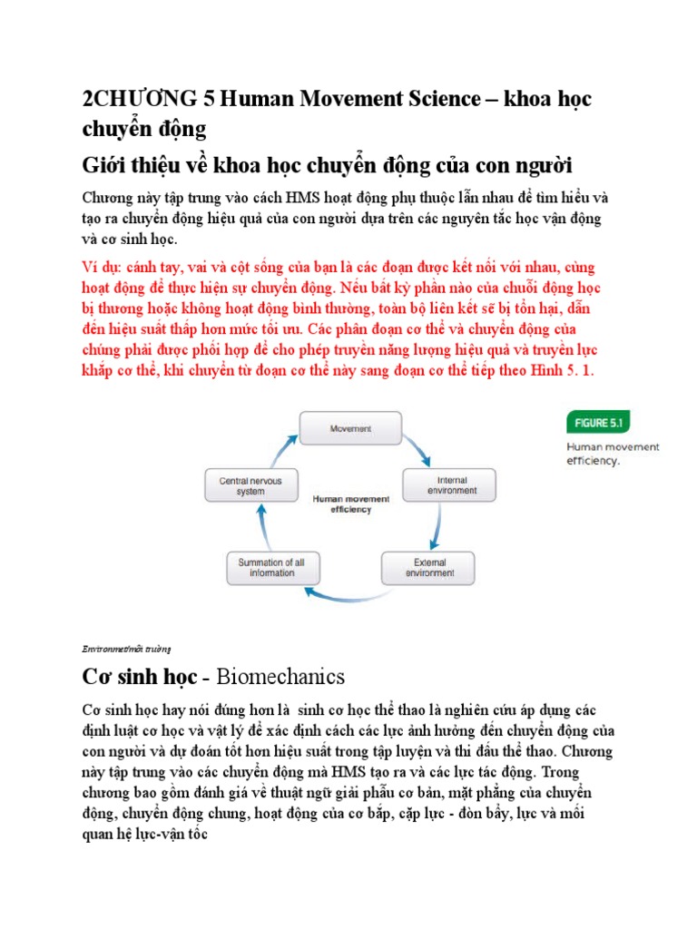 CHƯƠNG 5 Human Movement Science | PDF