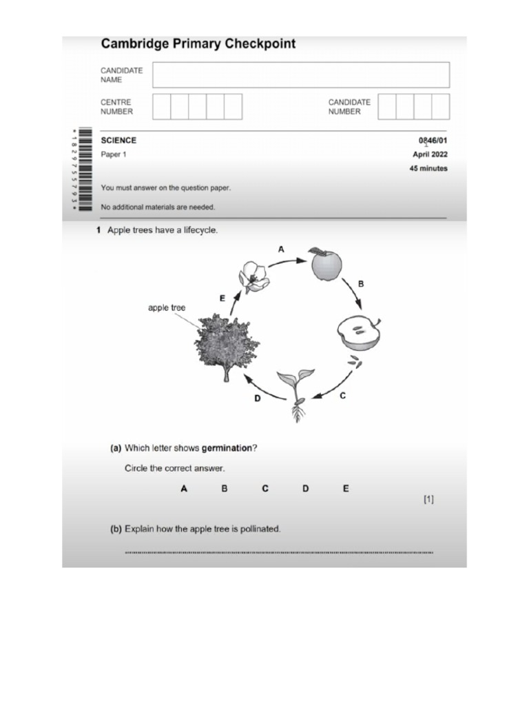 Science Checkpoint Primary Paper 1 | PDF