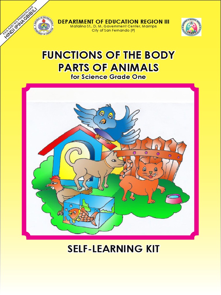 SLK GRADE 1 FINAL SET 2a REGION | PDF | Claw | Fin