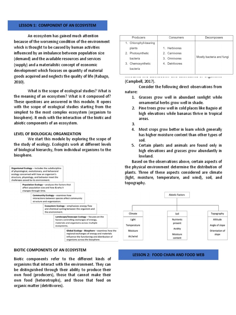Understanding Ecosystem Components | PDF | Food Web | Estuary