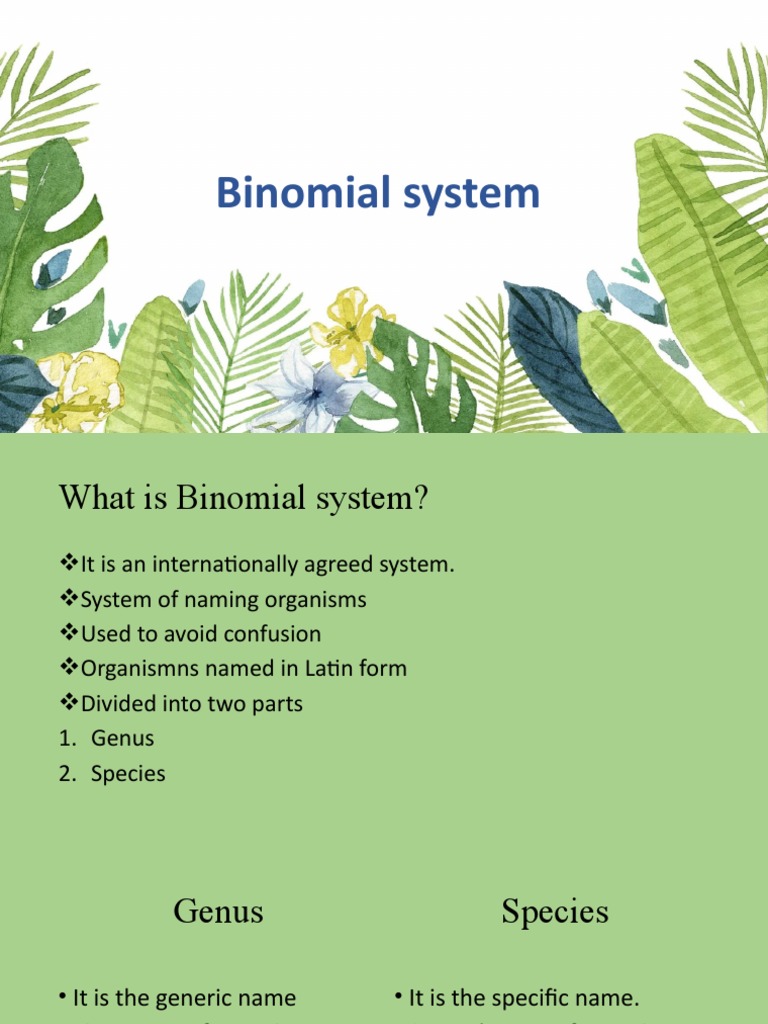 Binomial Sysytem J | PDF | Language Arts & Discipline | Wellness