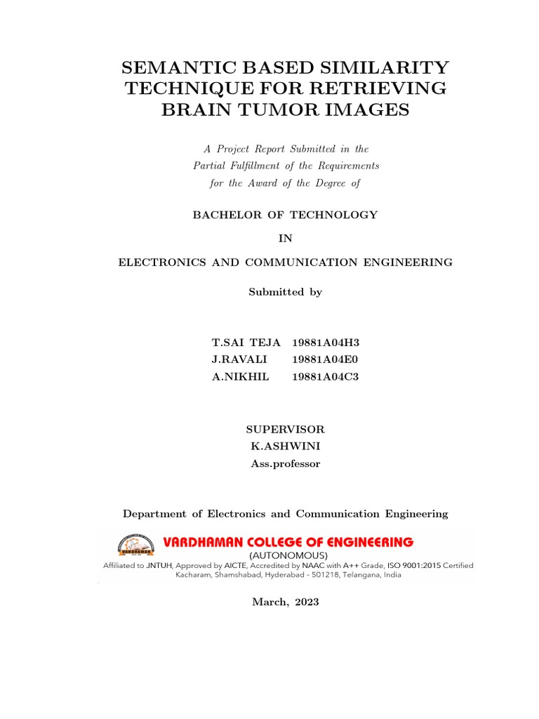 VCEH B Tech Project Report | PDF | Image Segmentation | Deep Learning