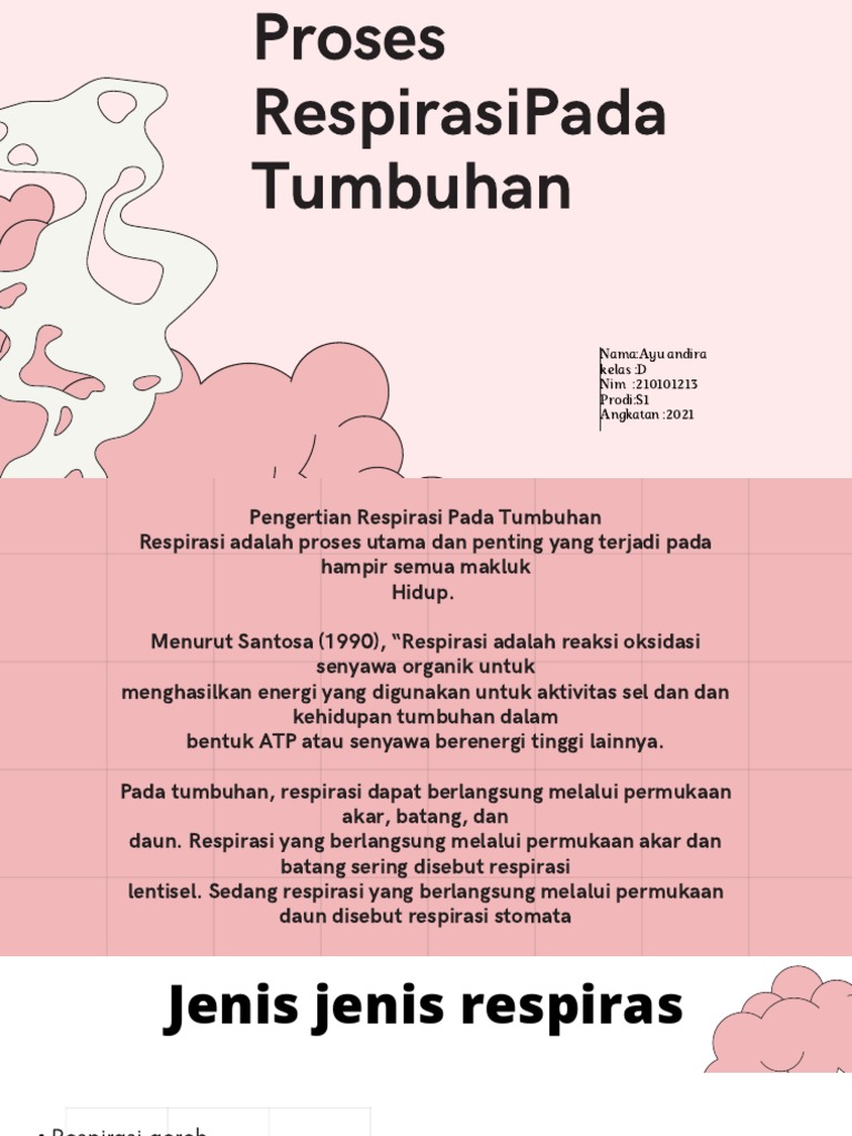 Ayu Andira PDF | PDF