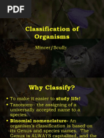 Classification Mnemonics for Taxonomy | PDF