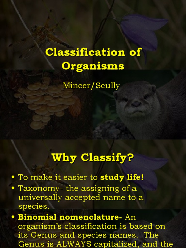 Classification of OrganismsNew | Download Free PDF | Organisms ...