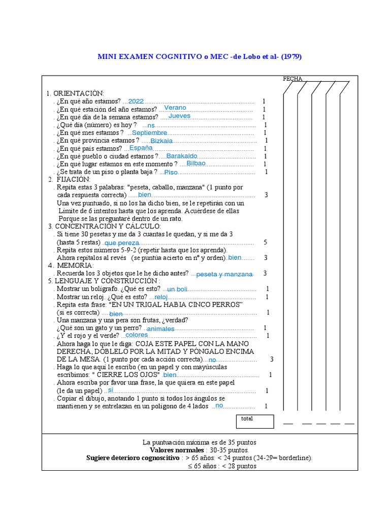 Práctica Mini Mental - MEC | PDF