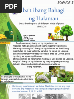 Halamang Dahon | PDF