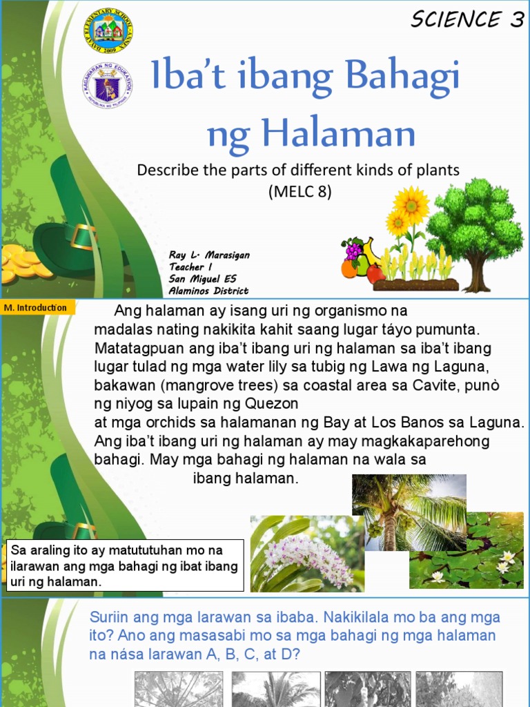 GRADE 3 SCIENCE MELC Based Iba't Ibang Bahagi NG Halaman by Sir Ray Marasigan | PDF