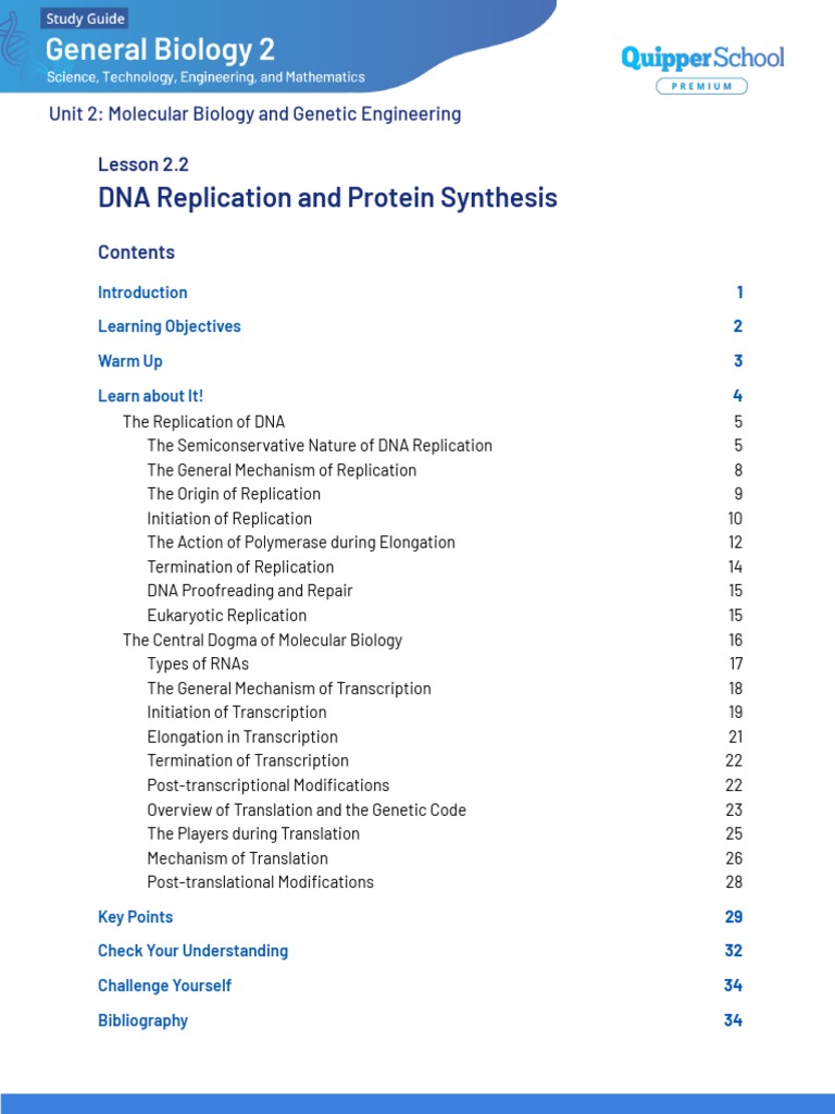 Study Guide Unit 2.2 - Dna Replication & Protein Synthesis | PDF | Dna ...