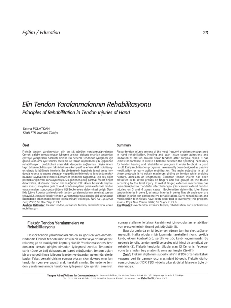 Elin Tendon Yaralanmalar N N Rehabilitasyonu | PDF