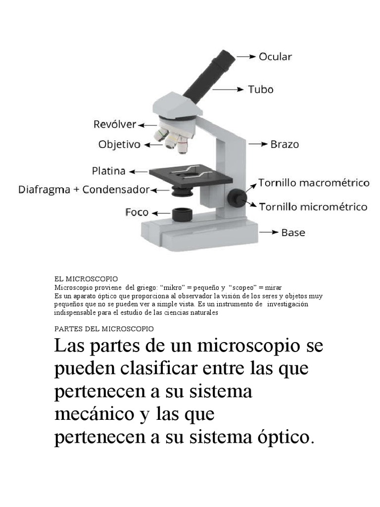 El Microscopio | PDF | Biología Celular) | Lente de la cámara