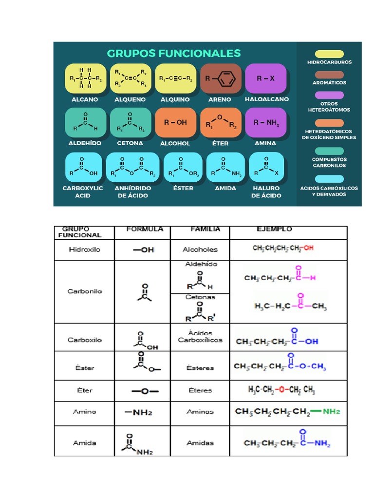 PDF Grupos Funcionaes | PDF