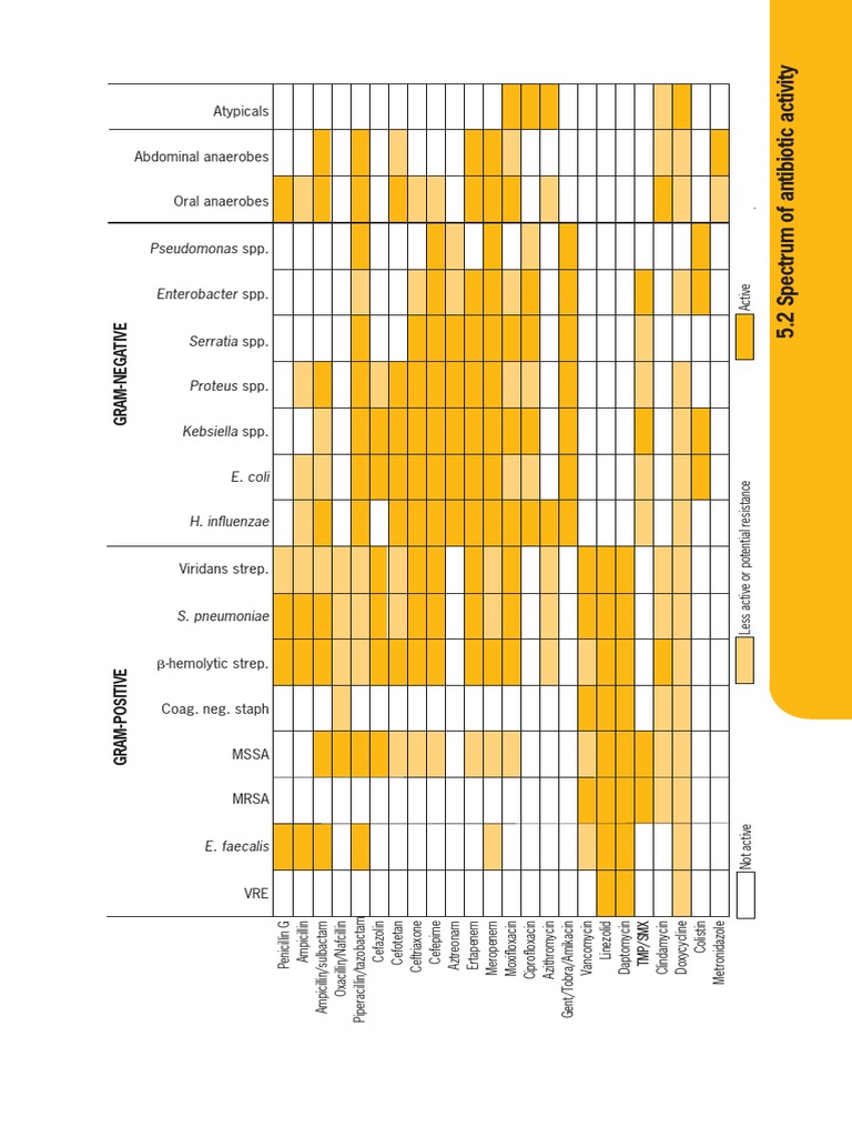 Antibiotic Activity Spectrum Overview | PDF | Drugs | Pharmacology