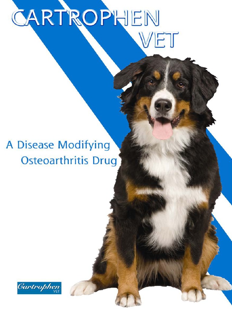 Cartrophen Vet Brochure 16-Pages-1 | PDF