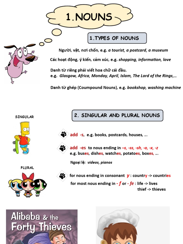 Understanding Nouns: Types and Rules | PDF | Grammatical Number | Plural