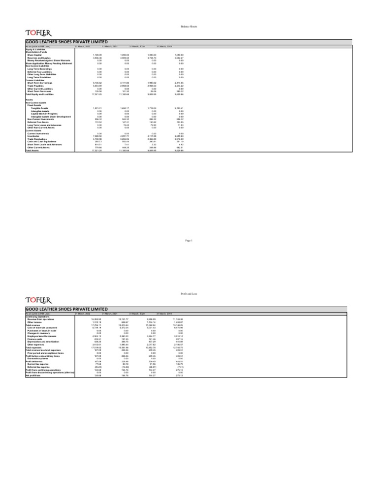 Financial Statements - GOOD LEATHER SHOES PRIVATE LIMITED | PDF ...