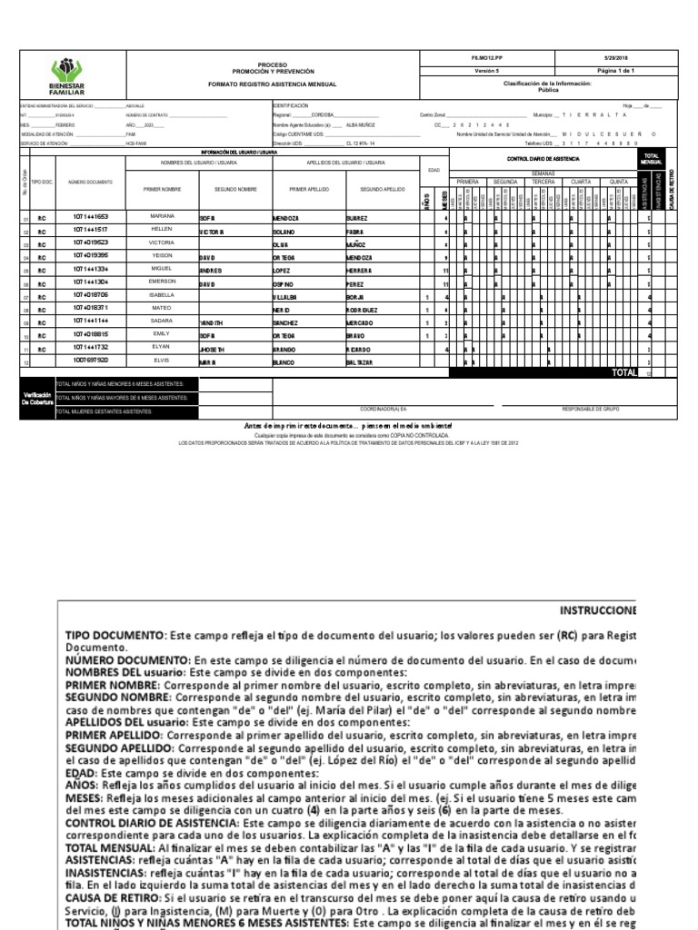 Formato Ram v5 6.06.2018 | PDF