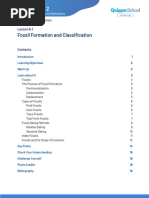 Steno's Law of Stratigraphy Study Guide | PDF | Stratigraphy ...