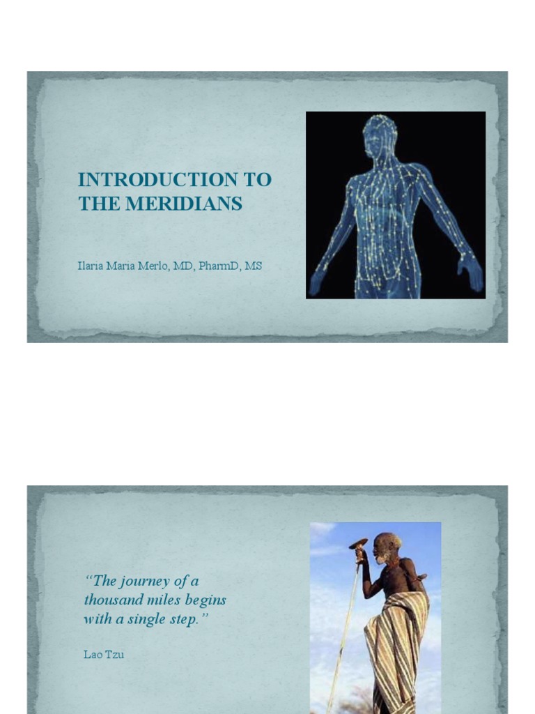 AL IntroductiontoMeridians PDF | PDF | Meridian (Chinese Medicine ...