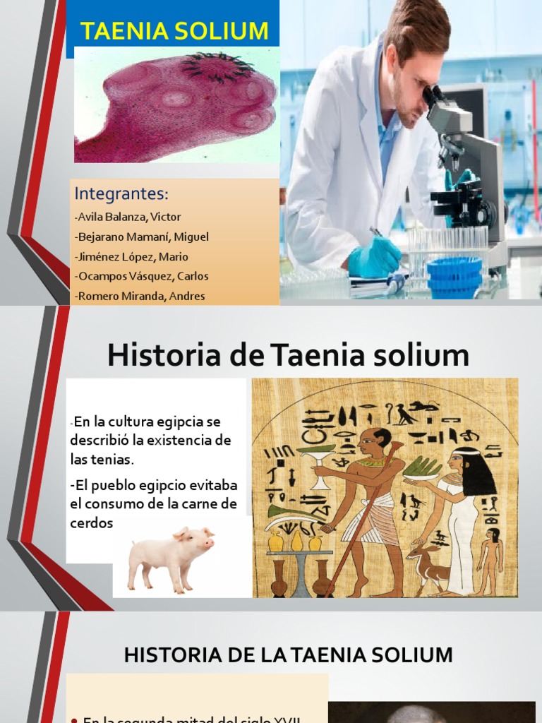 Diapo Tenia. Solium | PDF