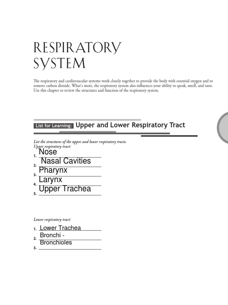 Practical Unit 10 Done PDF | PDF | Lung | Respiratory Tract