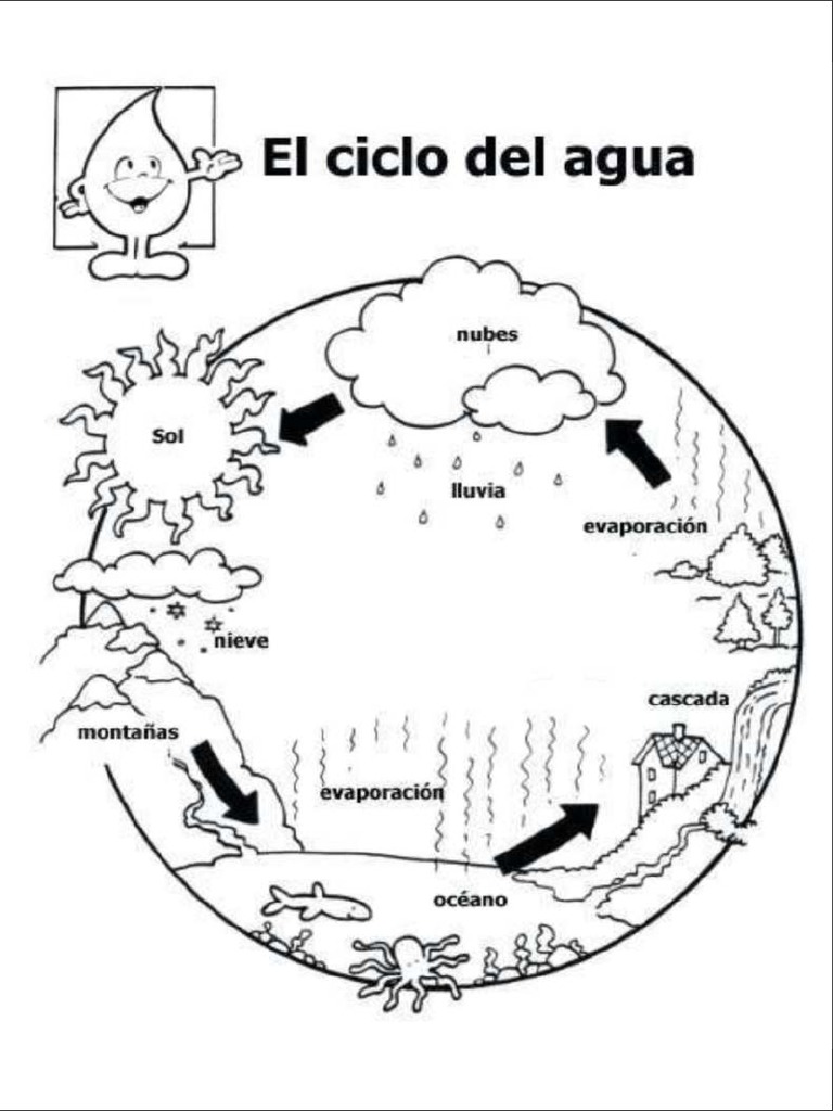 Fichas para El Ciclo Del Agua | PDF