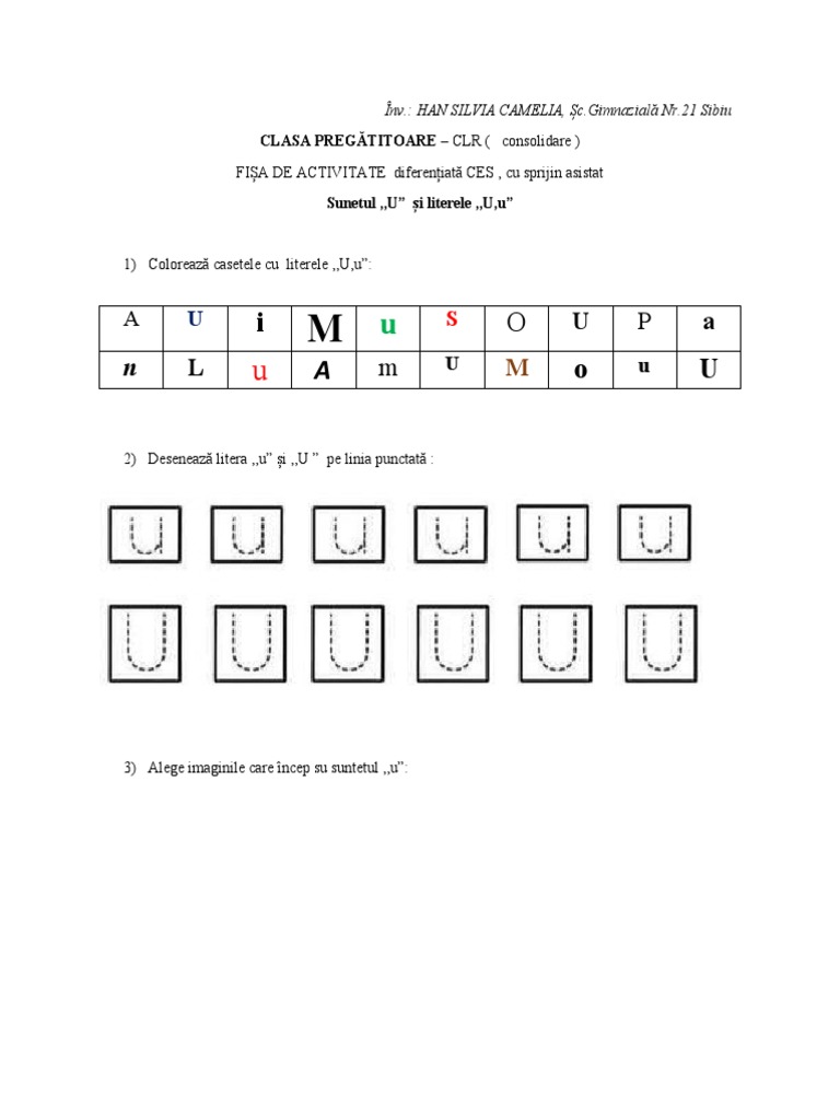 Fisa de Lucru CLR CES | PDF