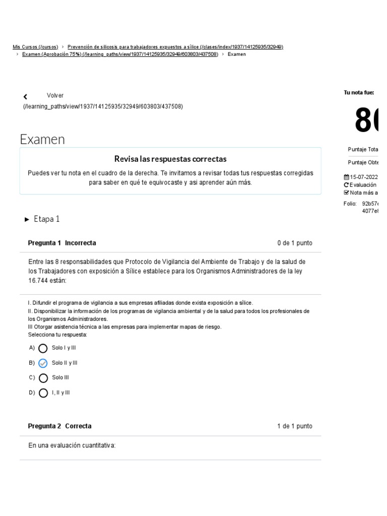 04 Prevención de Silicosis para Trabajadores Expuestos A Sílice - Prueba | PDF | Medicina ...
