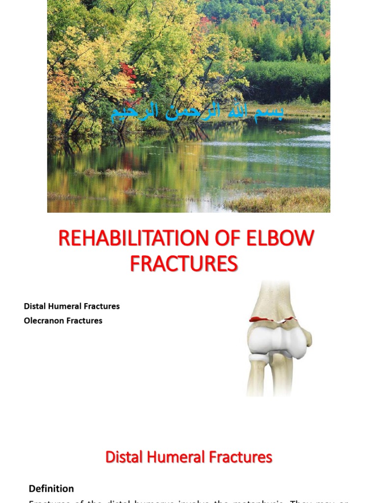 4 6028438121257896176 PDF | PDF | Elbow | Anatomical Terms Of Motion
