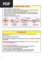 Leishmania Cell Biology Overview | PDF | Macrophage | T Helper Cell