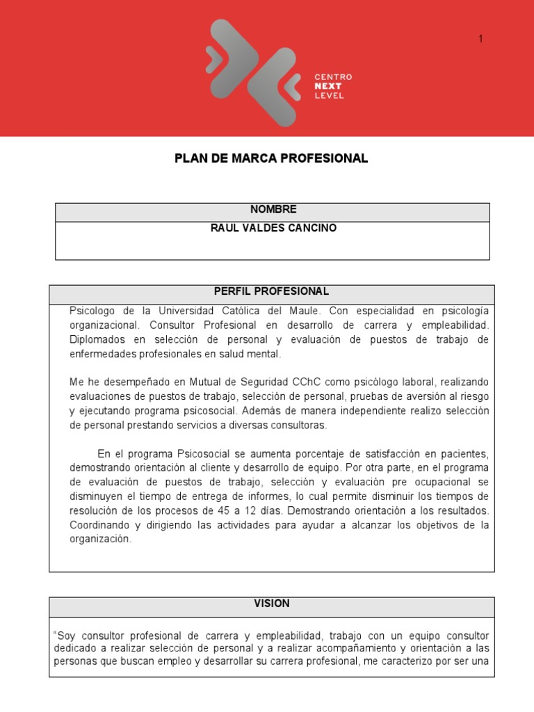 Plan - de - Marca - Profesional 2021 Raúl Valdés Cancino | PDF ...
