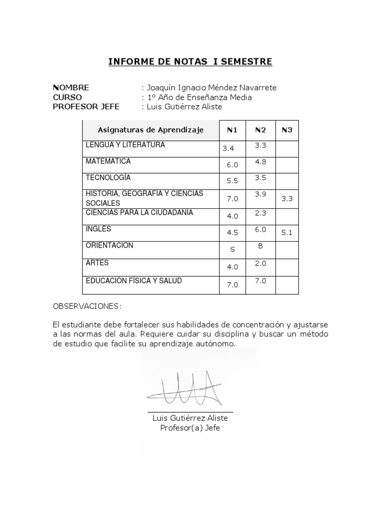 Informe de Notas I Semestre 1° Año | PDF