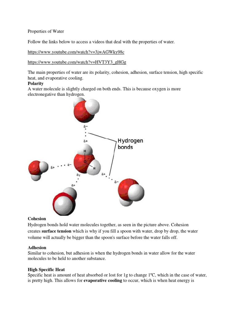 Lesson 2-Properties of Water | PDF
