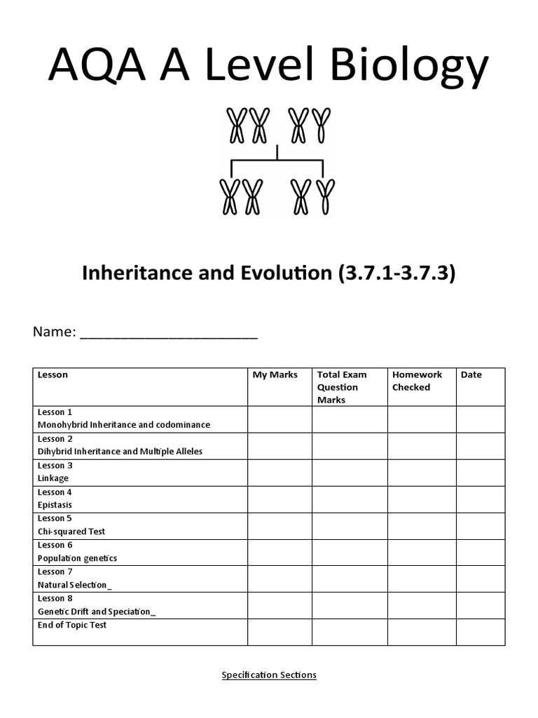 Population Genetics Booklet Y13 | PDF | Dominance (Genetics) | Zygosity