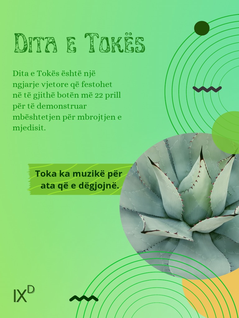 Dita e Tokes Poster | PDF